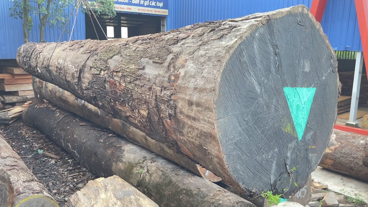 Wood sawing process // Excellent wood selection and sawing technique ...