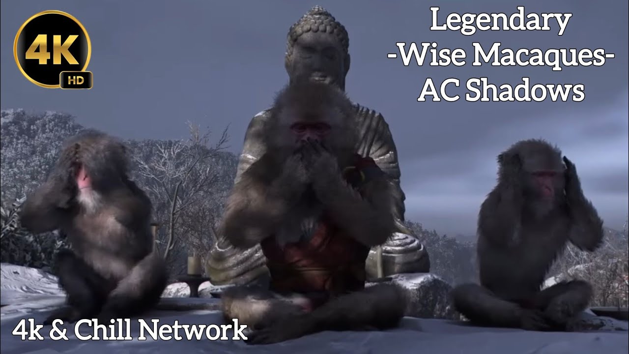 Assassin’s Creed Shadows- Legendary Wise Macaques - YouTube