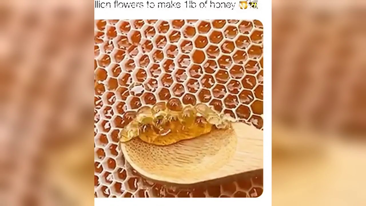 Jerry Science jerryscience Instagram Compilation 2018 - YouTube