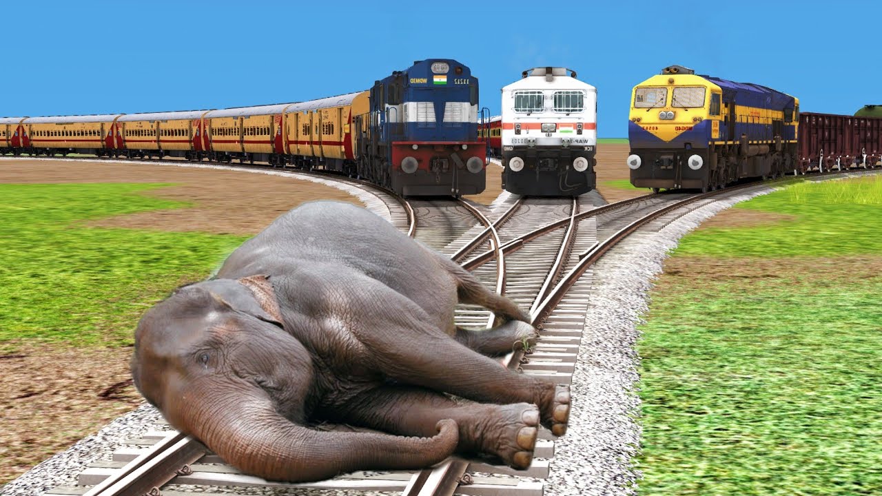 Three Trains vs Elephant 🐘- Stops the Train | Train Simulator - YouTube
