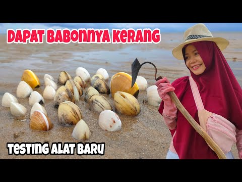 Pakai alat cari kerang terbaru, mamah nada beraksi lagi #carikerang #alatcarikerang