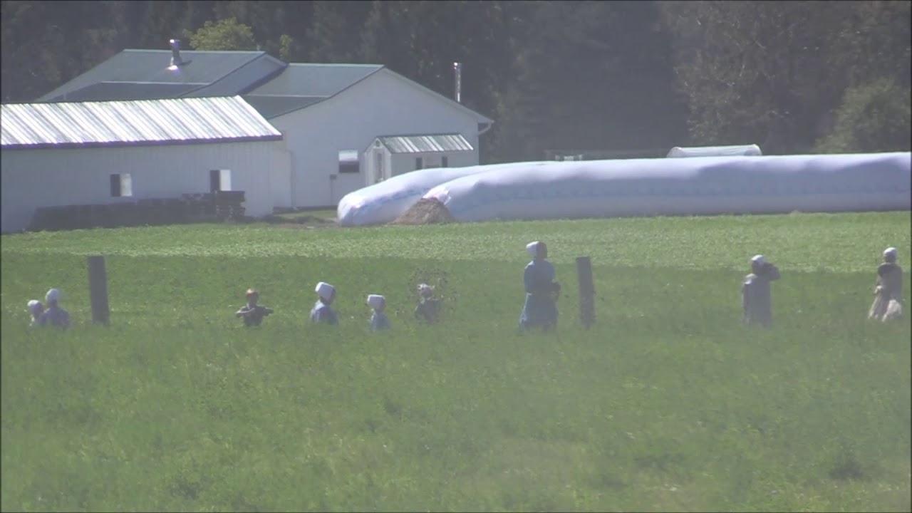 Amish Softball, 89 Degrees, Mio, Michigan - YouTube