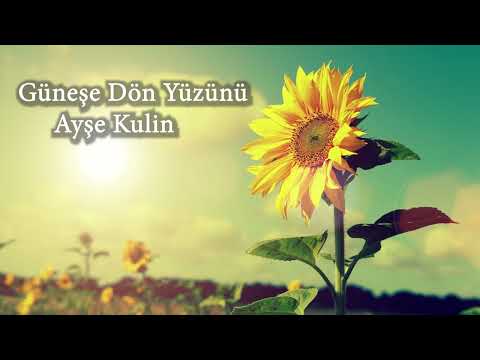 Ayşe Kulin / Güneşe Dön Yüzünü