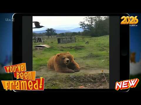 You've Been Framed! –  Series 30 Episode 17  (2026)