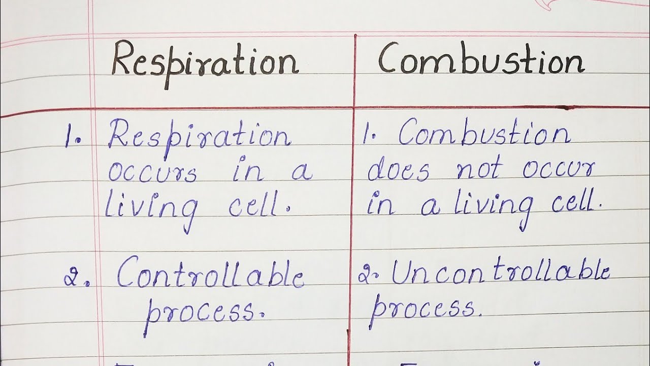 Difference between Respiration and Combustion - YouTube