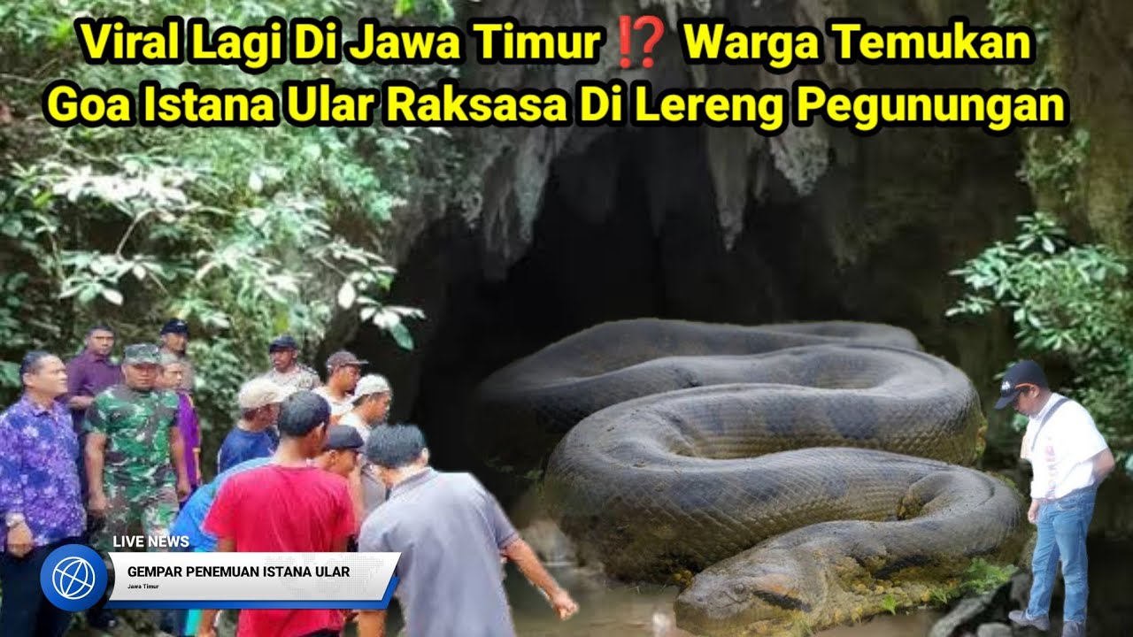 Viral Lagi Di Jawa Timur ⁉️ Warga Temukan Goa Istana Ular Raksasa Di ...