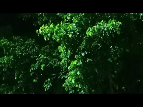 CON CONGORO EN MUJERSS - YouTube