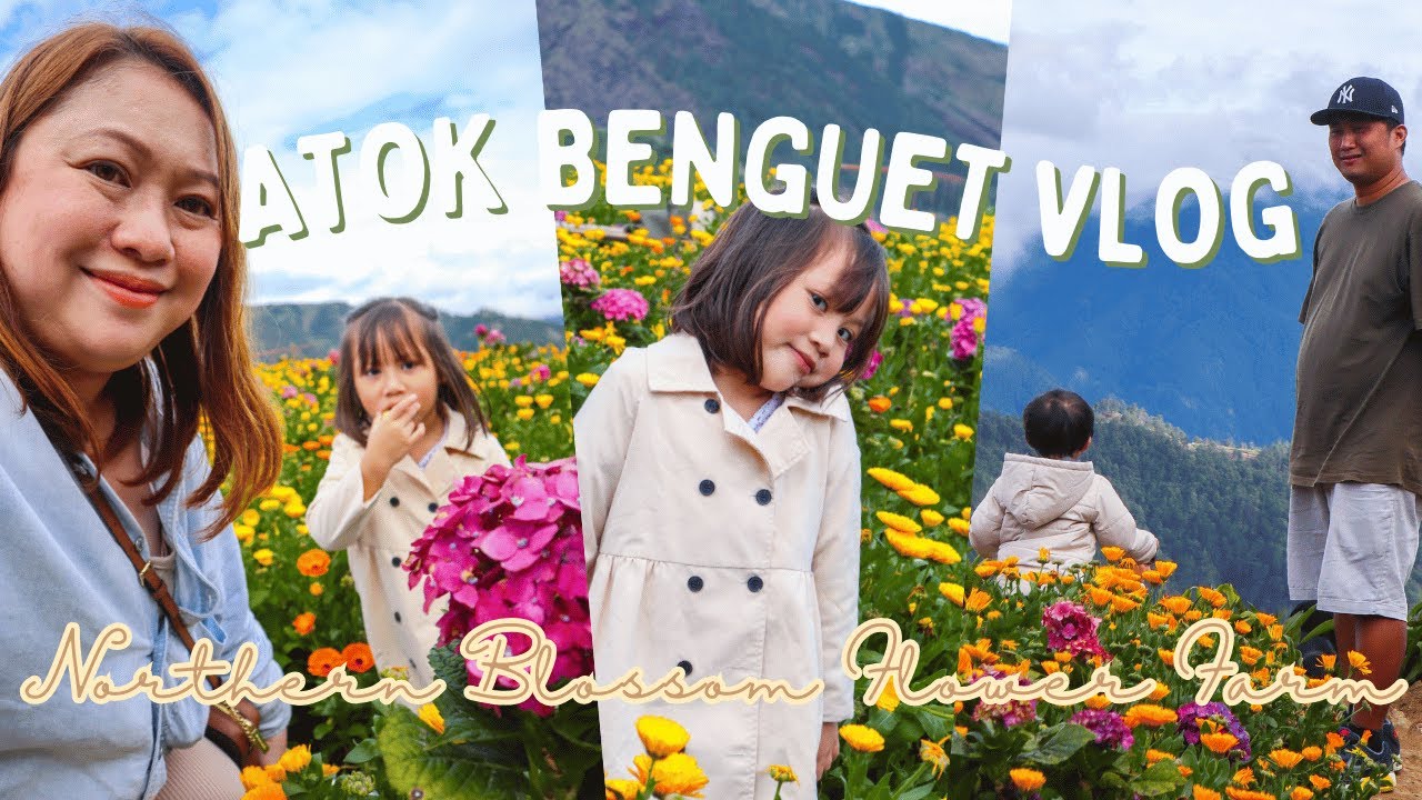 Atok 🇵🇭 Northern Blossom Flower Farm, Mt. Olis Viewpoint Atok Travel ...