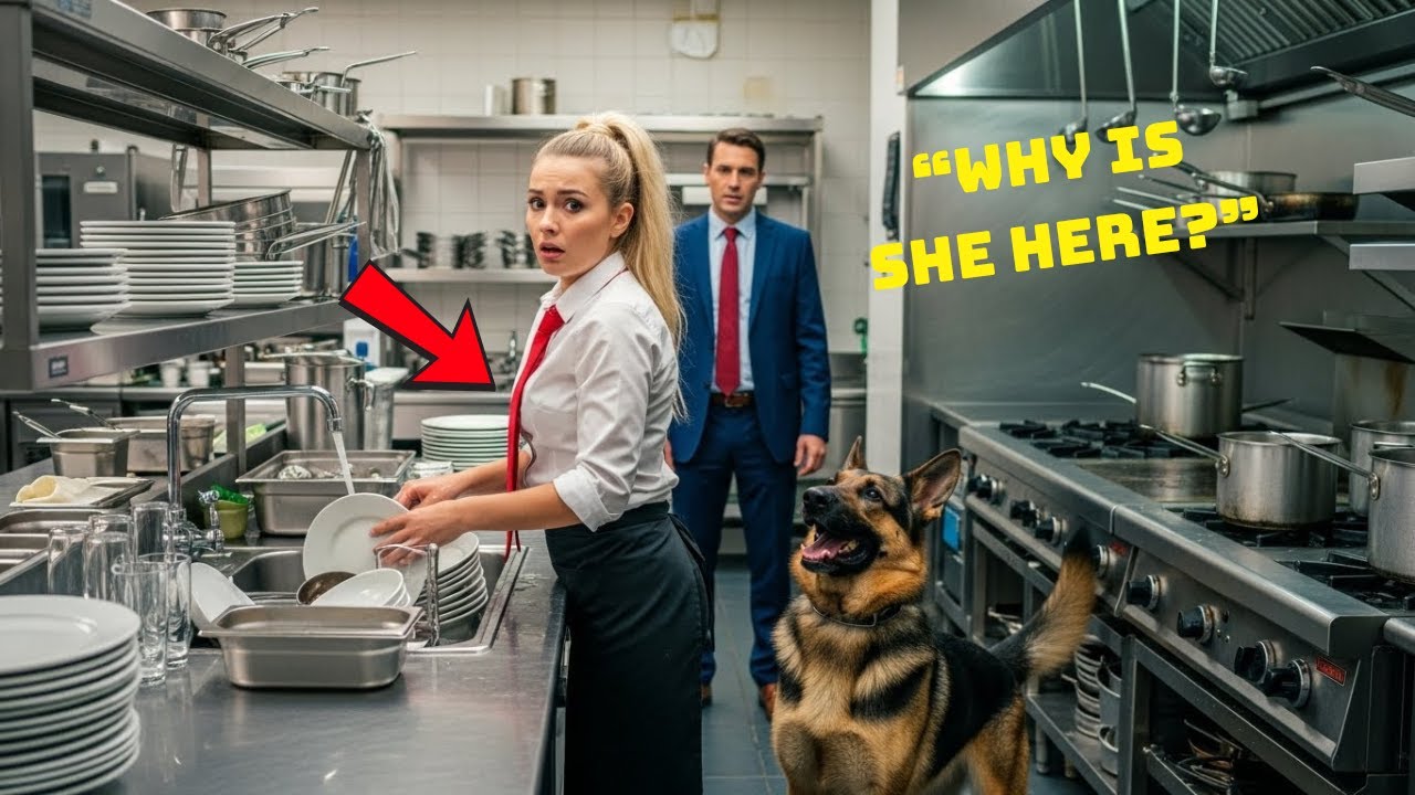 Billionaire Found His Housekeeper’s Daughter Working at 3AM — Then ...