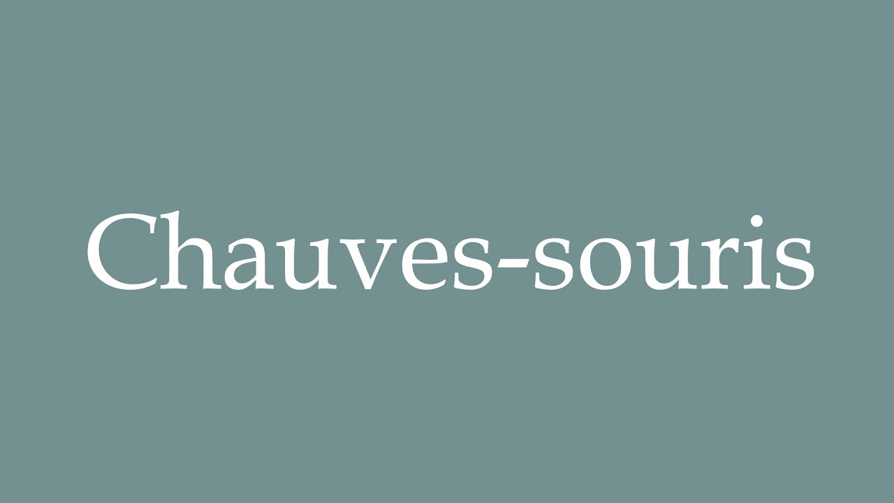 How to Pronounce ''Chauves-souris'' (Bats) Correctly in French - YouTube