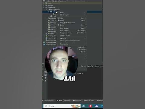 Python Django telegram bot - Джанго телеграмм бот, самый простой пример #django #python # ...