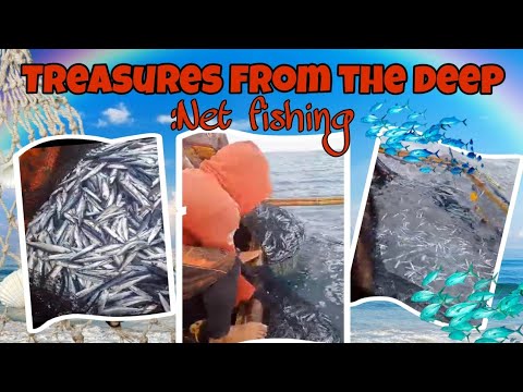 TREASURES FROM THE DEEP: NET FISHING - YouTube