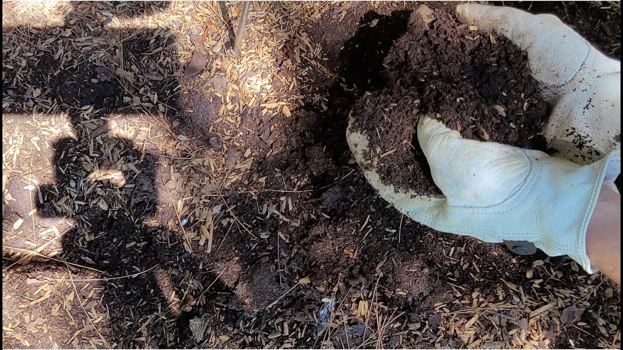 Sept 2022 Compost Update - YouTube