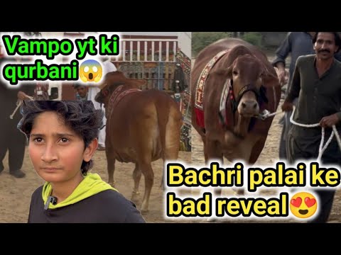 Vampire yt qurbani ki bachri 2026😱😍@Vampoyt109 