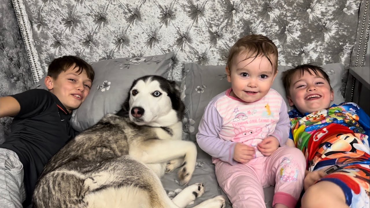 Adorable Husky & Kids Bedtime Routine!😭. [CUDDLES, GIGGLES & KISSES ...