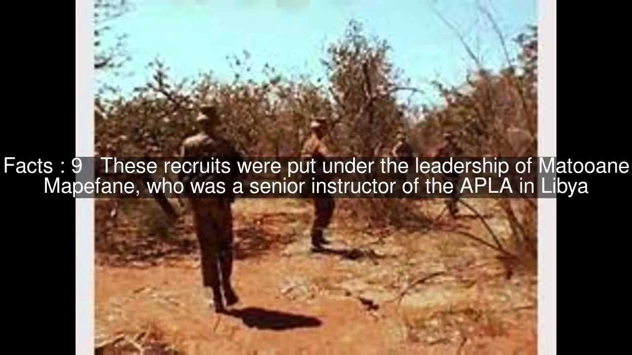 Lesotho Liberation Army Top #19 Facts - YouTube