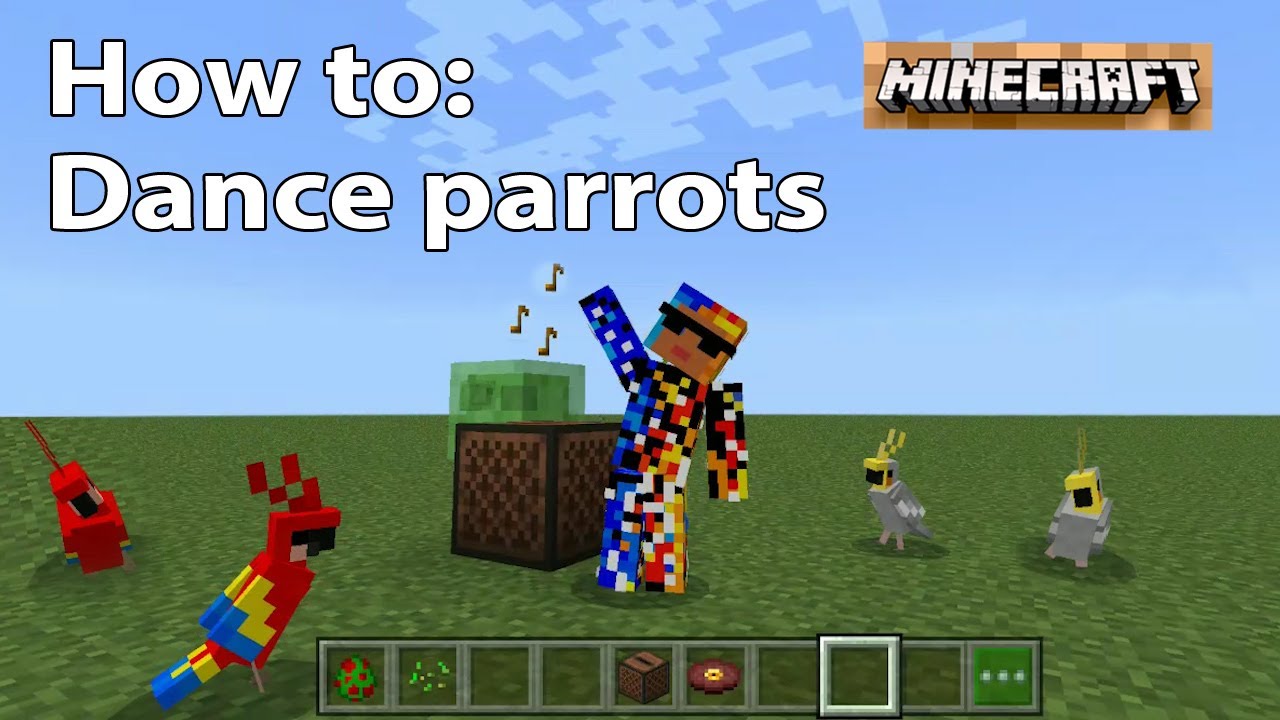 How to dance parrot in Minecraft PE - YouTube
