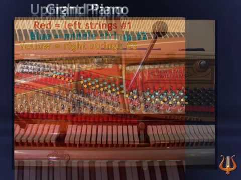 Strings and pins position in a piano - YouTube