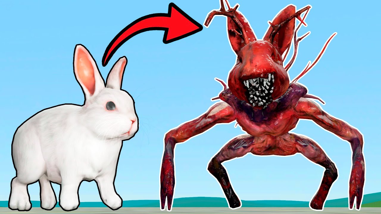 NEW ZOOCHOSIS MUTANT RABBIT In Garry's Mod - YouTube