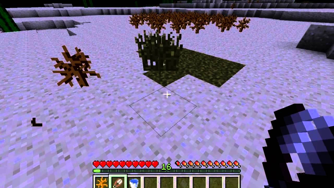 Minecraft Blocks & Items: Dead Brush - YouTube