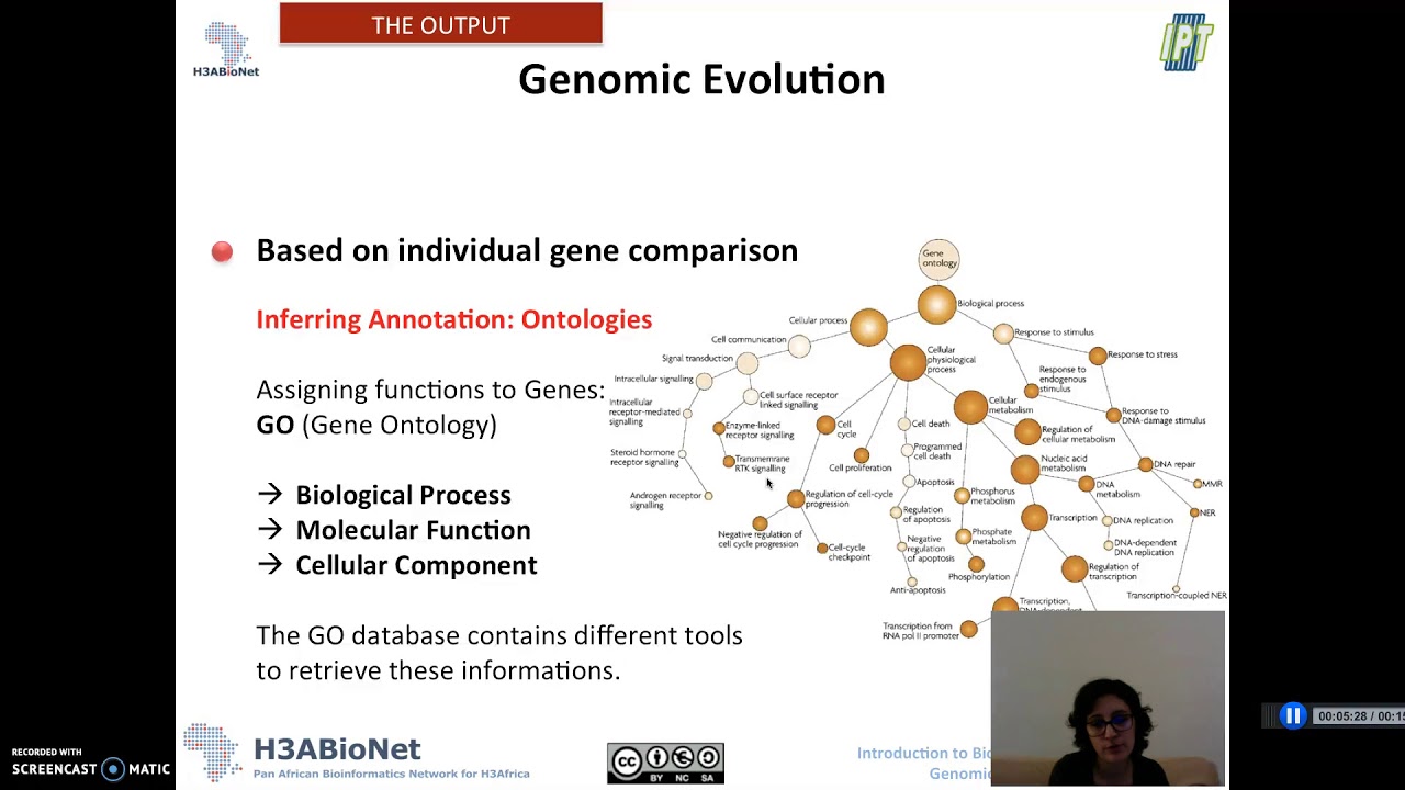 Module 5: Session 3 Part 6 - YouTube