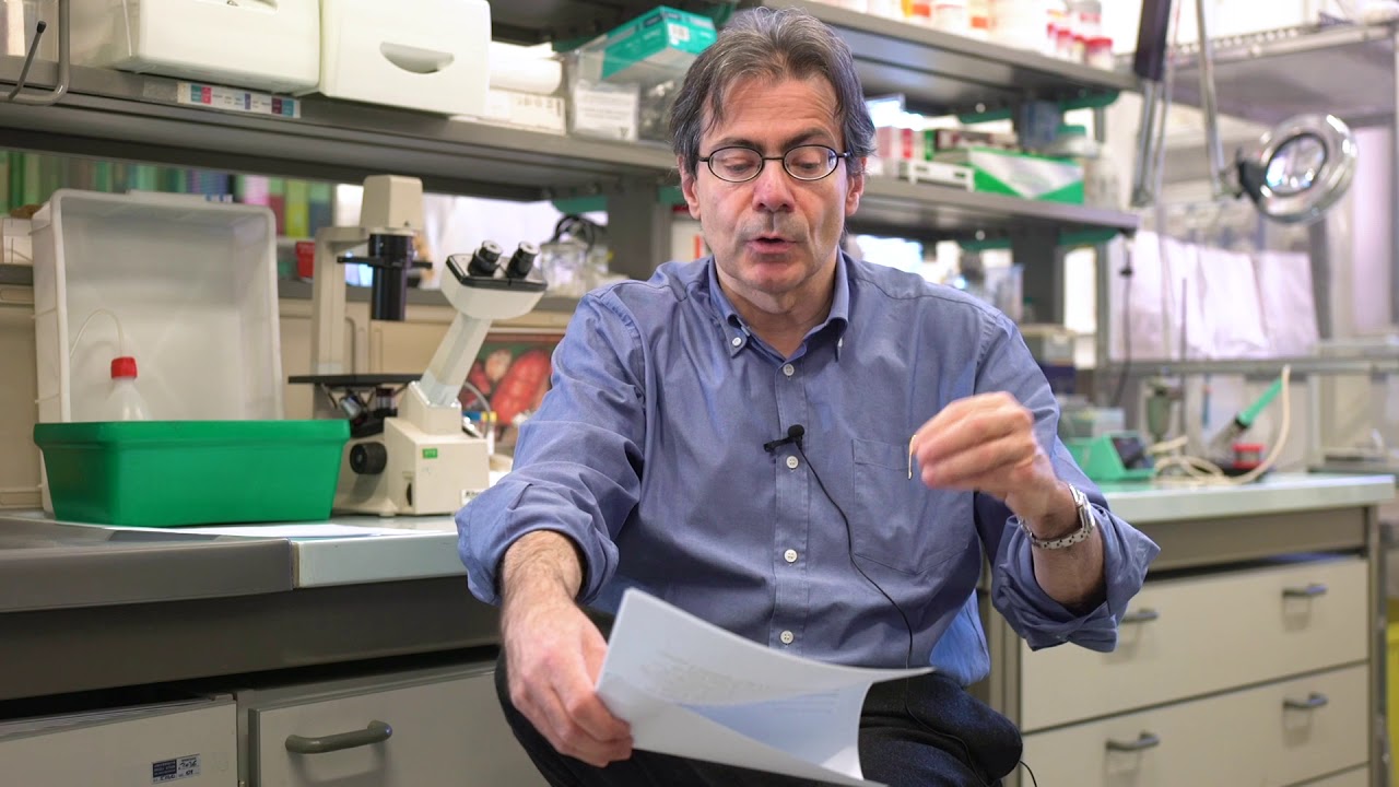 Scienze biologiche - A. Becchetti - YouTube