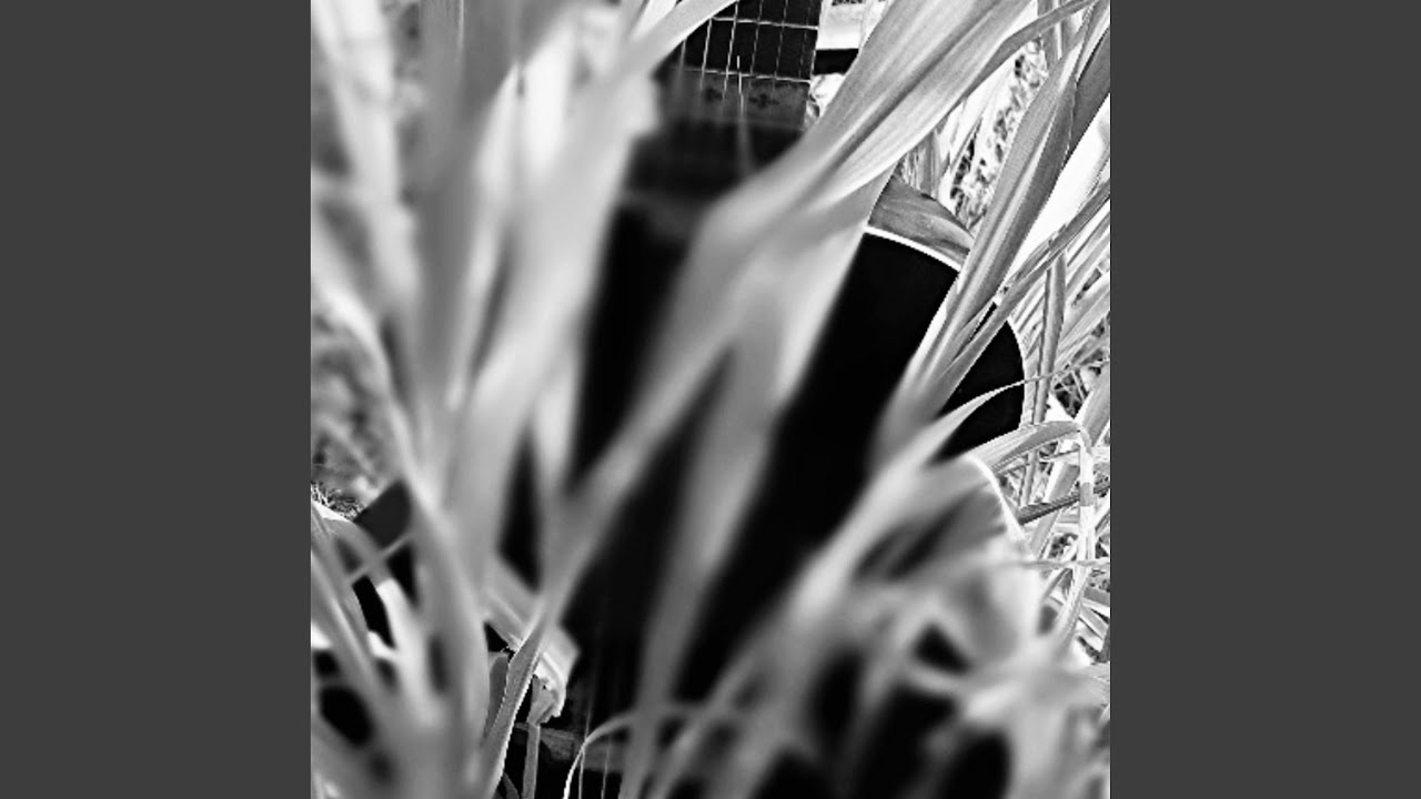 Still Cutting (Instrumental) - YouTube