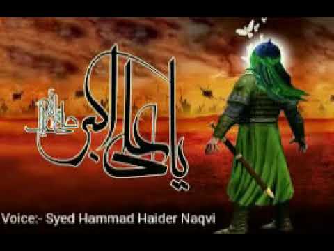 haye haye Ali Akbar(A.S) by Syed Hammad Haider Naqvi - YouTube