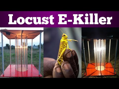 Locust E Killer - YouTube