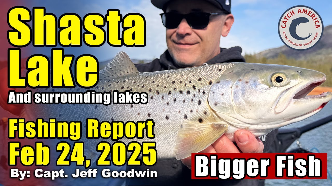 Why Your Trout Lures Fail in Winter (Shasta Lake Guide's Fix) | Shasta ...