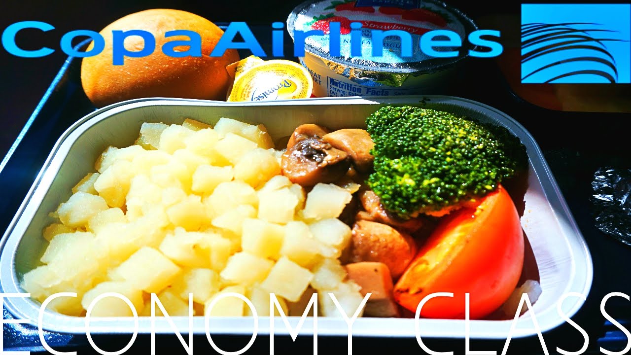 Copa Airlines ECONOMY CLASS Panama to Lima|Boeing 737-800 - YouTube