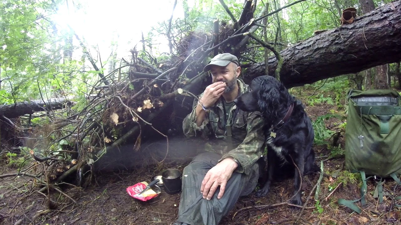 Quick natural survival Shelter - YouTube