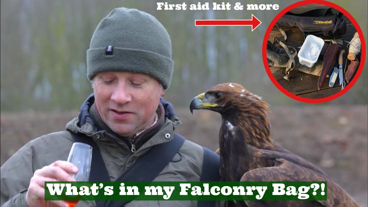 WHAT’S IN MY FALCONRY BAG?! First Aid Kit Contents For Birds of Prey ...