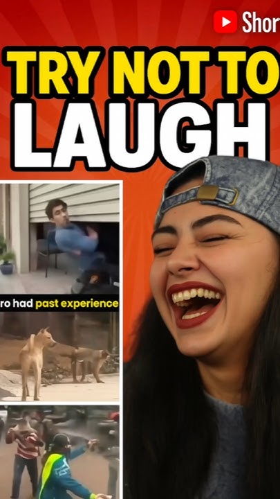 Try Not to Laugh – YouTube’s Funniest Video TODAY! - YouTube