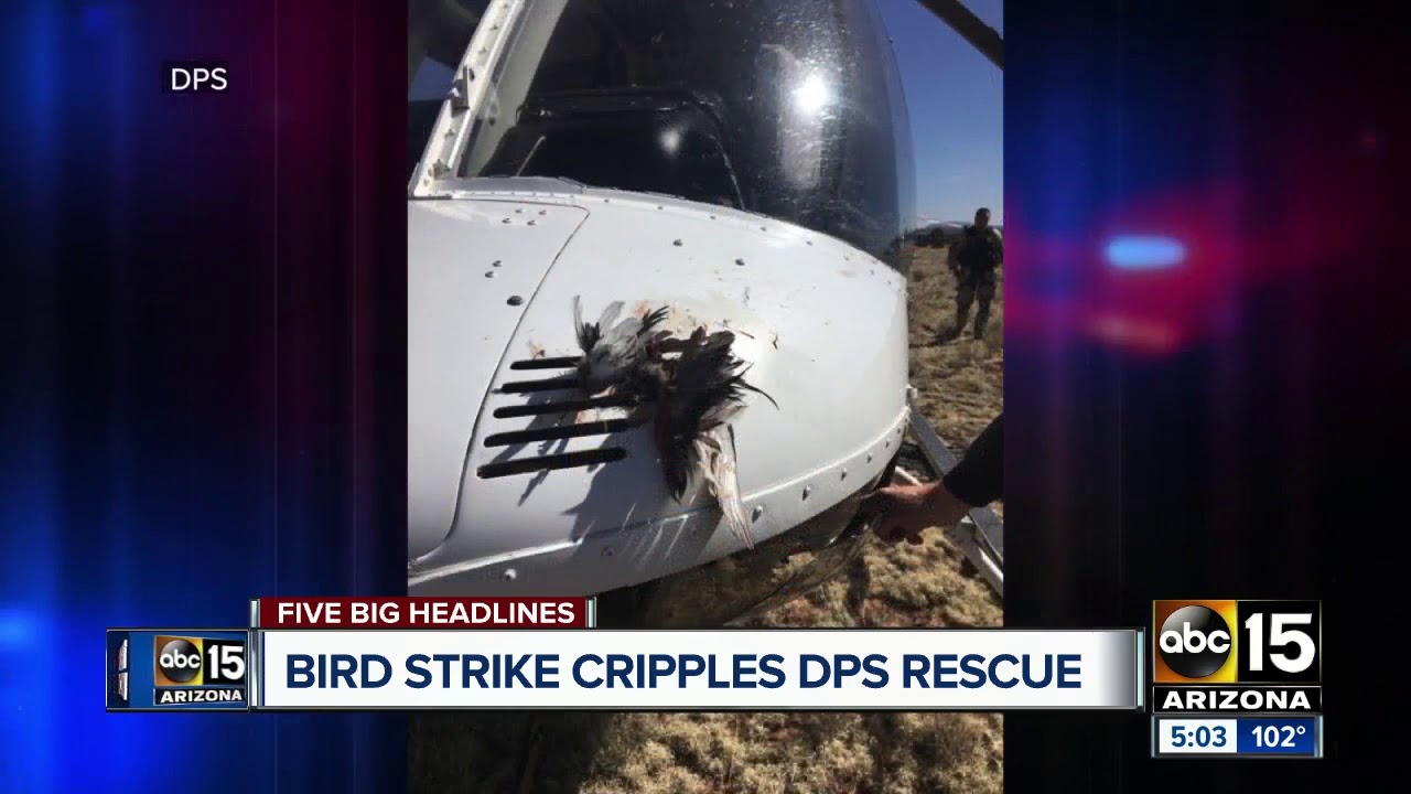 Bird strike causes significant damage to DPS helicopter - YouTube