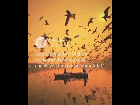 İnstagram - Twitter video #102 #tiktok #twitter #akımı