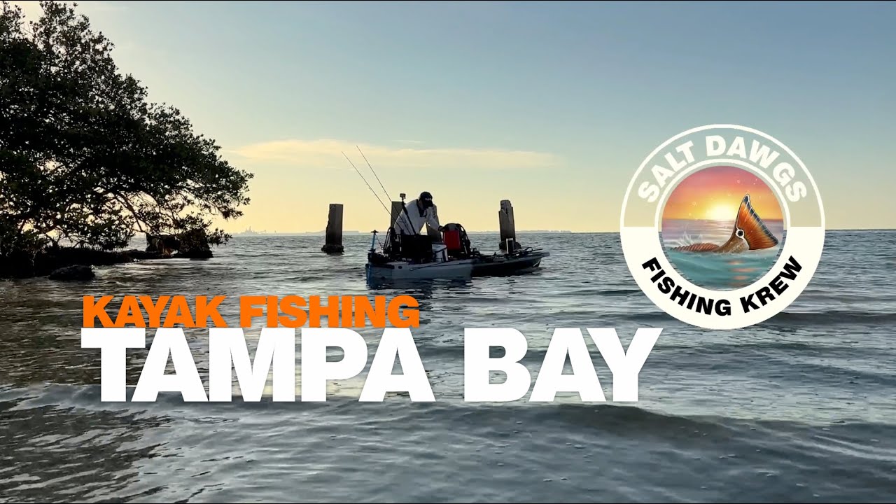 TAMPA BAY KAYAK FISHING SDFK 2024 - YouTube
