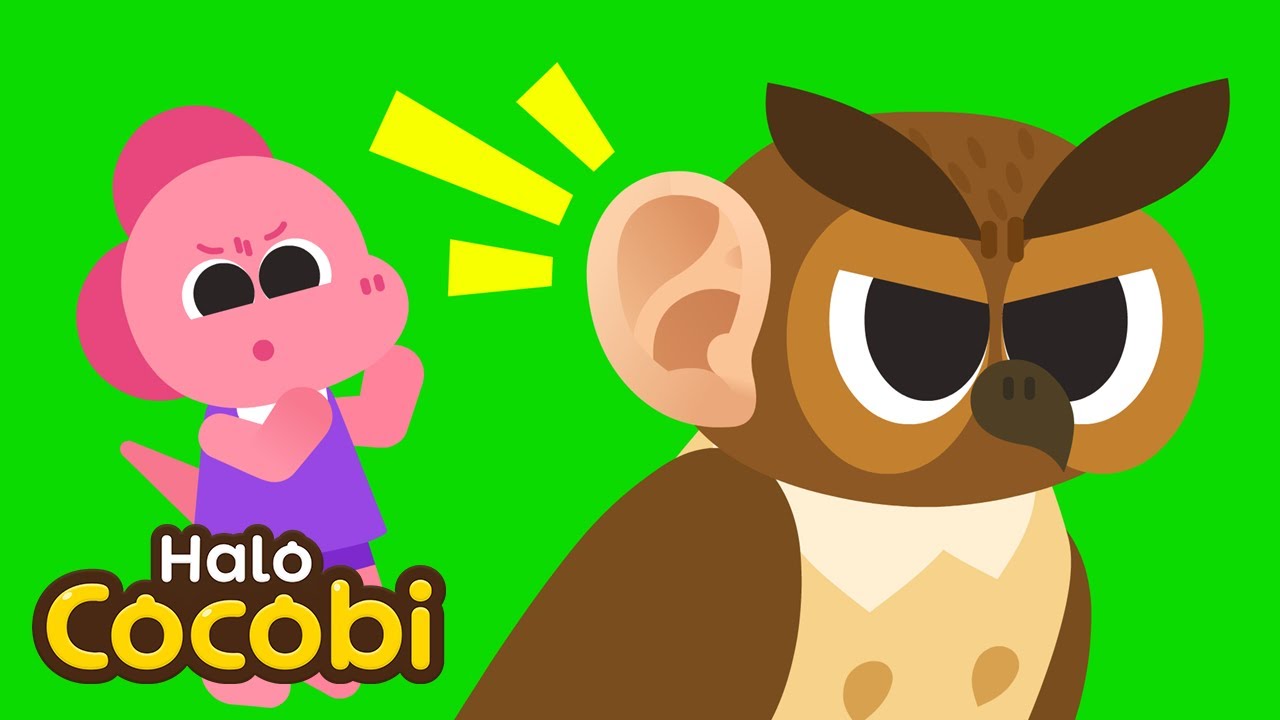 Telinga Siapa? Lagu Binatang Anak | Kids Songs | Halo Cocobi Bahasa Indonesia - YouTube