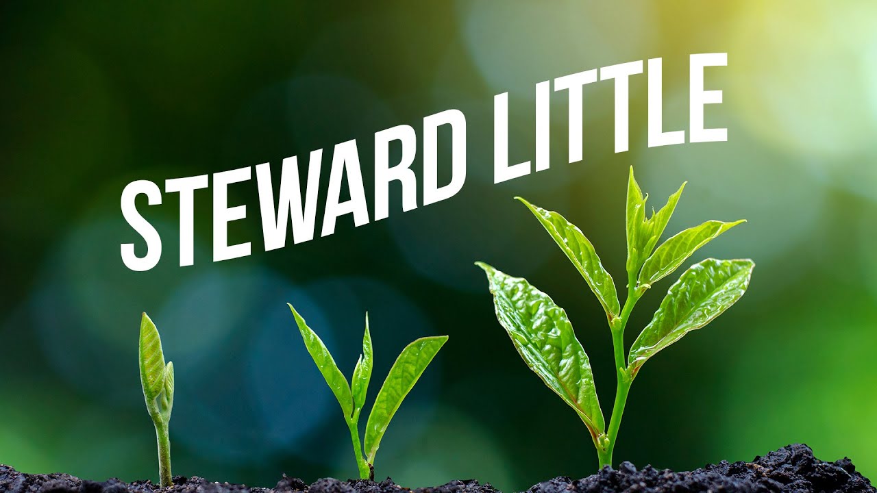 Steward Little | Money (Pt2) - YouTube