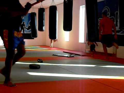 artis 009