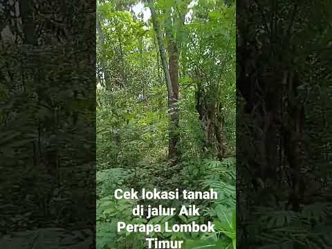 Cek lokasi Tanah di Aik Perapa LOMBOK Timur