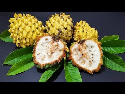 quem conhece o Biriba?? - YouTube