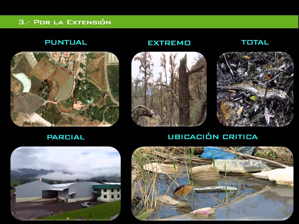 Tipos de Impactos Ambientales - YouTube