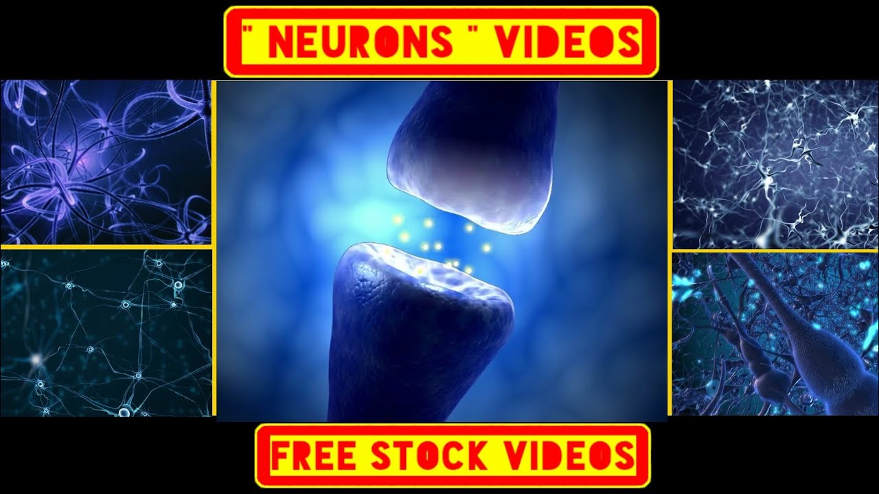 NEURONS free stock videos || NEURONS royalty free videos || NEURONS ...