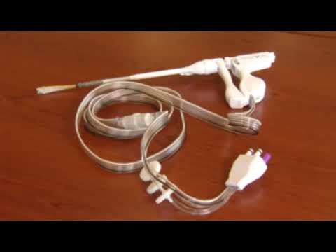 Minerva in the news - YouTube