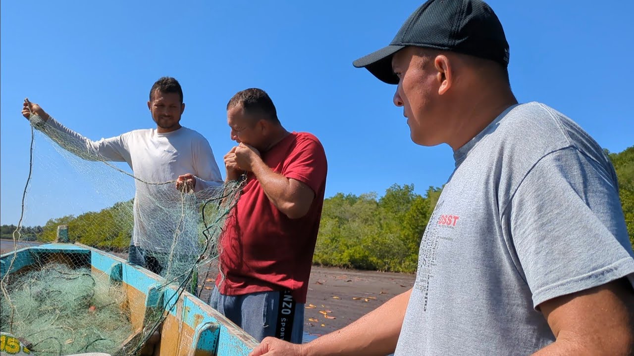 pesca artesanal con trasmallo y tarraya en la bocana San Juan - YouTube