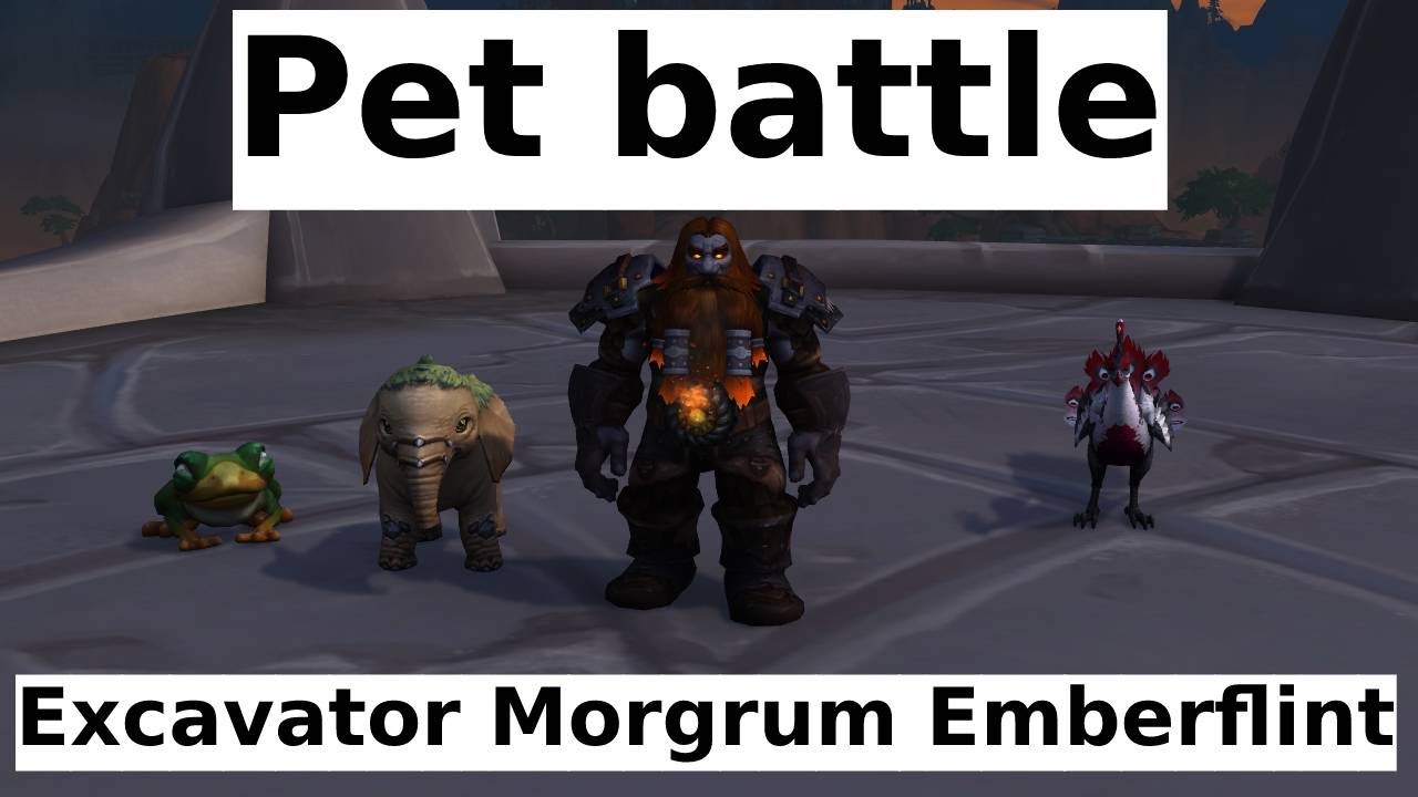 Excavator Morgrum Emberflint - pet battle - easy - wow - Dragonflight ...