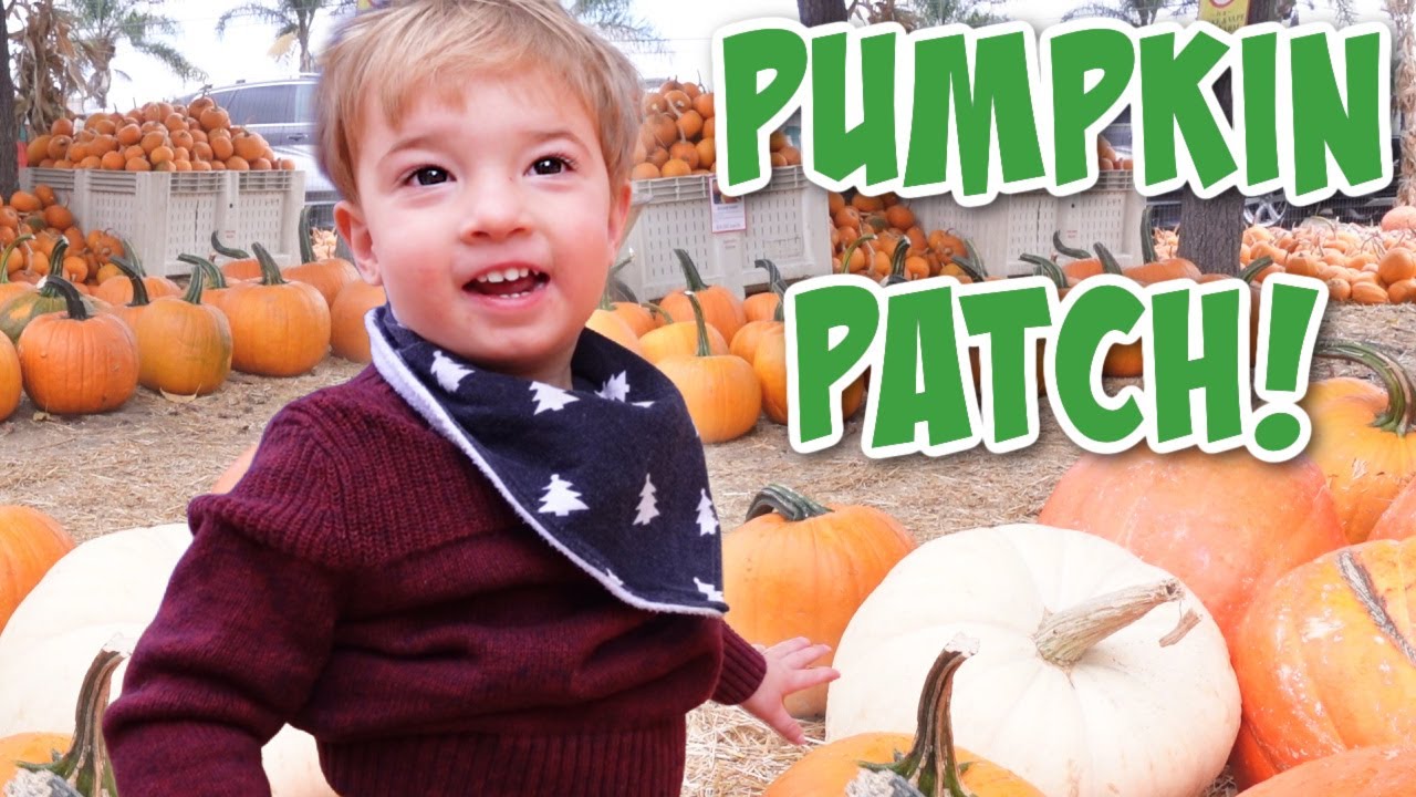 Pumpkin Patch! - YouTube