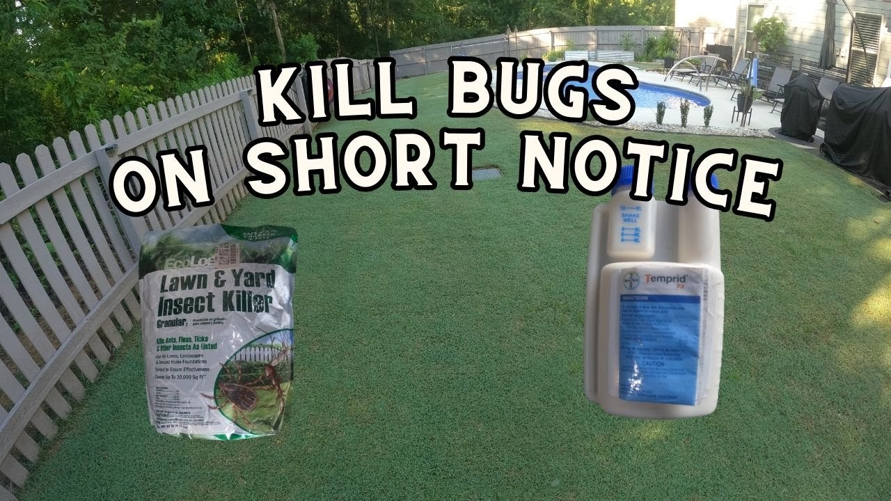 Quickly treating for crawling bugs and mosquitoes - YouTube