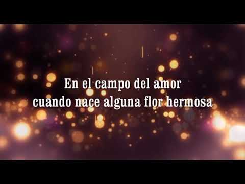 15 AÑOS - REYNALDO ARMAS (LETRA)